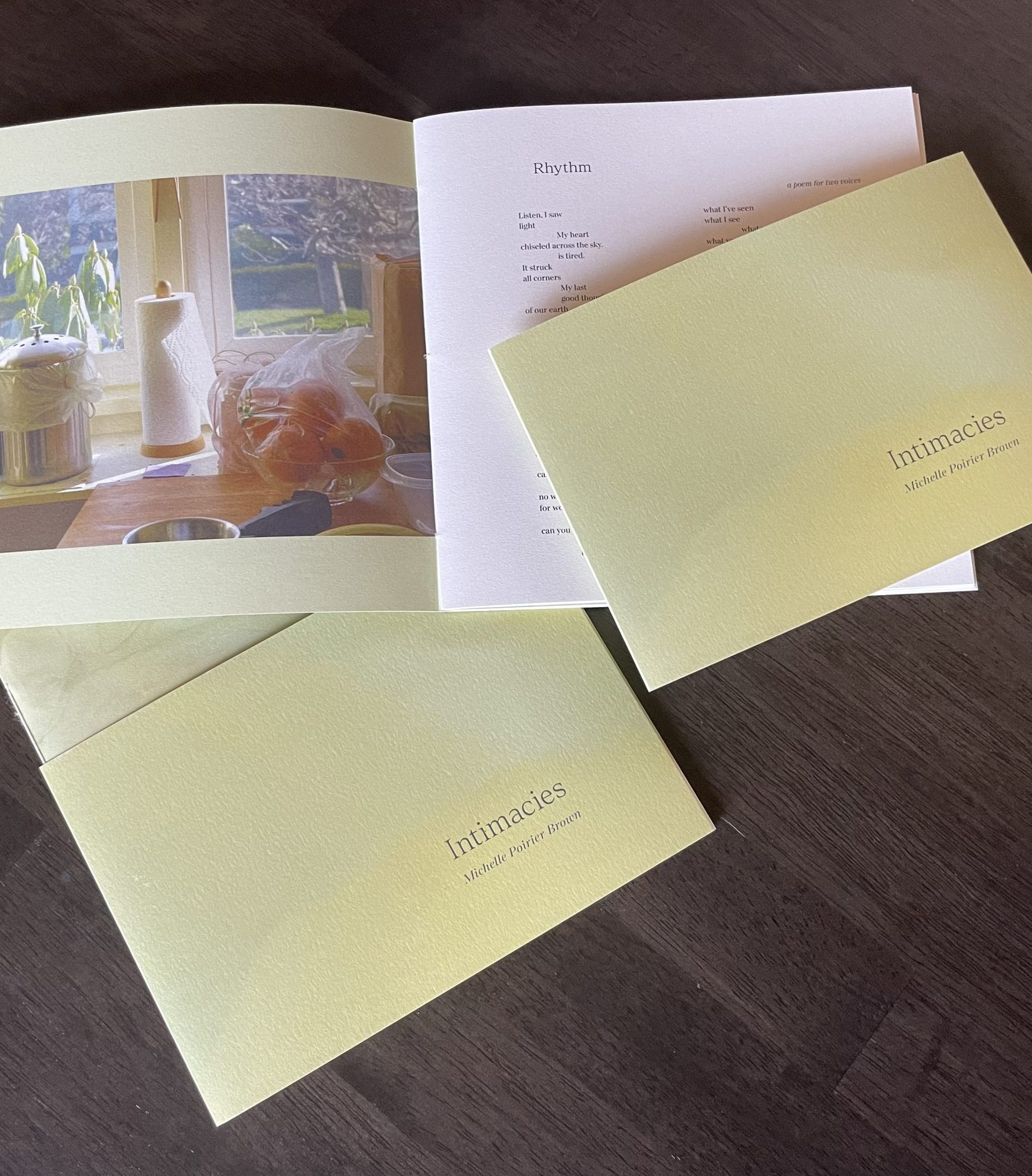 Michelle Poirier Brown – poet + performer + photographer